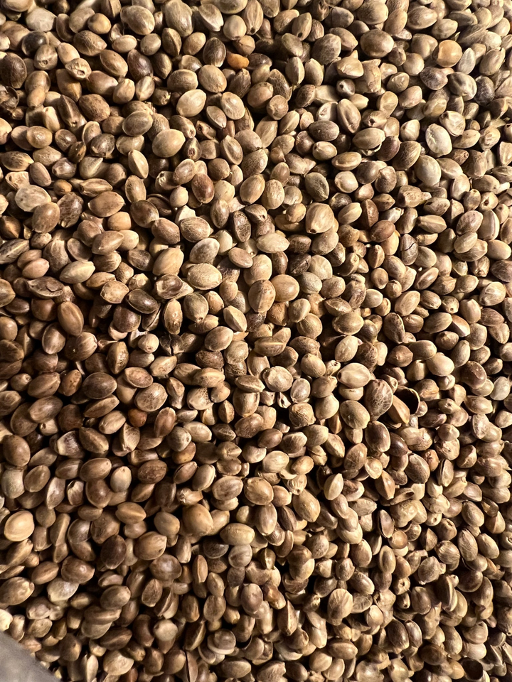 Ripkitty Premium Toasted Whole Hemp Seeds Nuts Organic Free Shipping | eBay