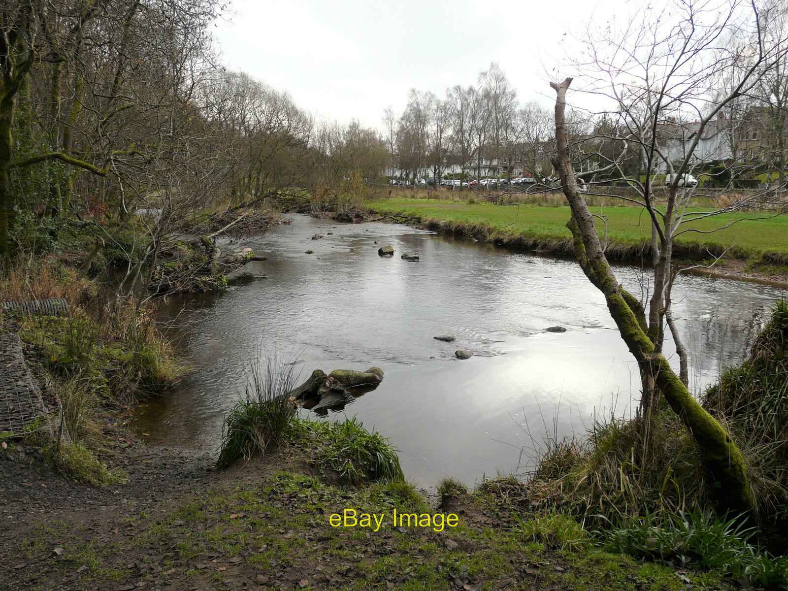 Photo 6x4 Allander Water Milngavie On a cold November afternoon. c2021 ...