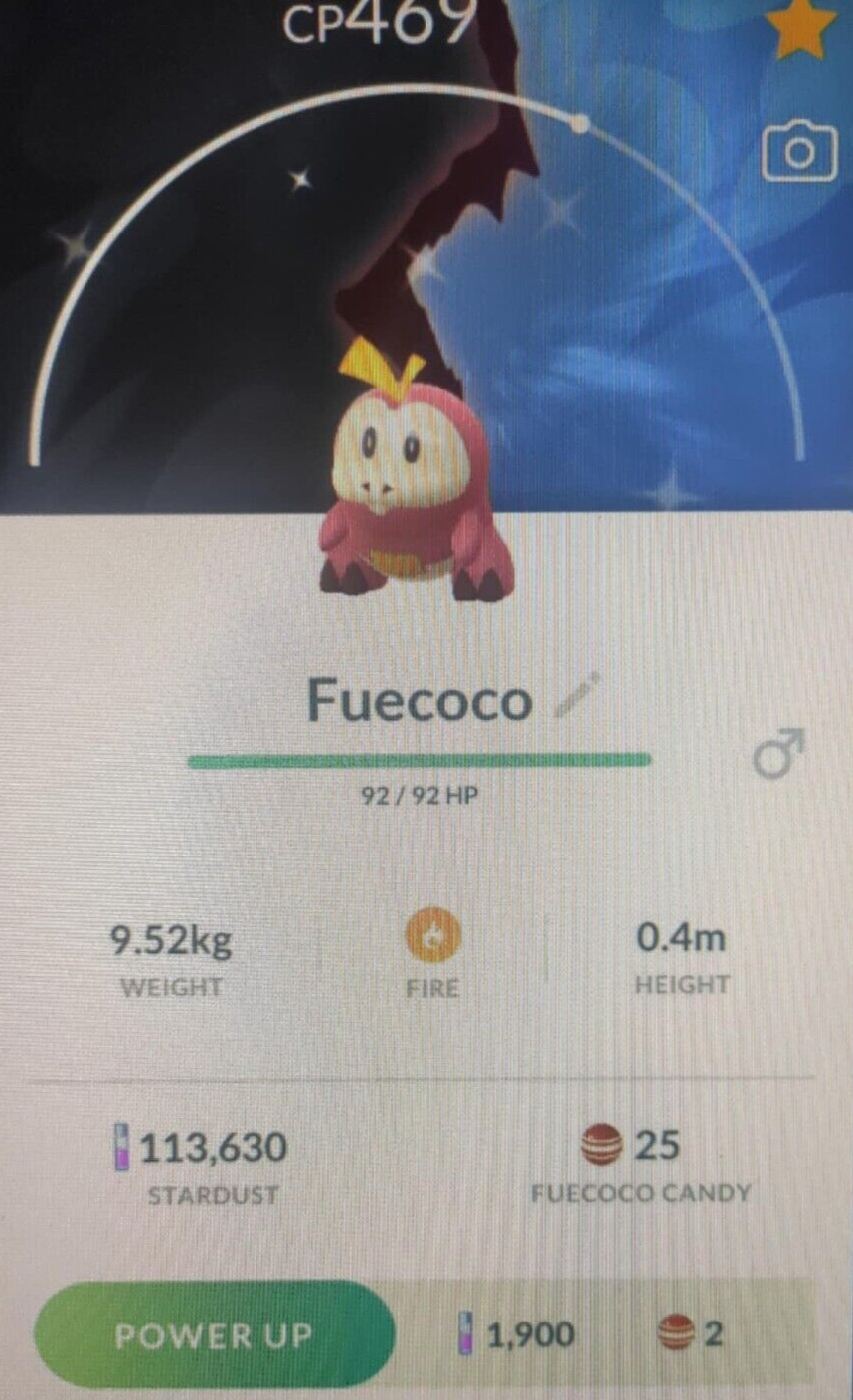 Pokémon Go - Shiny FUECOCO special background - Trade Registered 20k ...