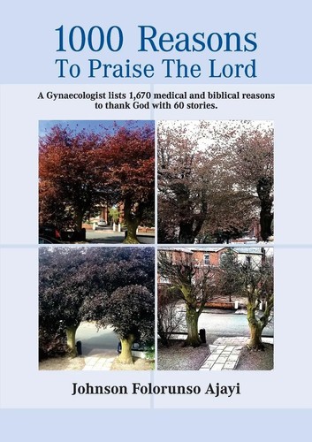 Johnson Ajayi | 1000 Reasons to Praise the Lord | Taschenbuch ...