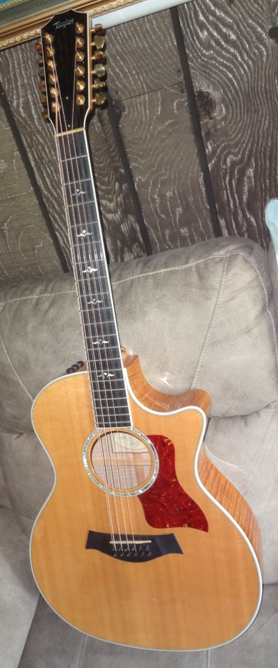 TAYLOR 654-CE GRAND AUDITORIUM Acoustic Electric 12 String Guitar w ...