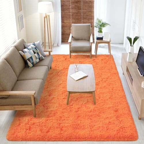 Area Rug for Bedroom, 4x6 Feet Plush Fluffy Rug for Living 4x5.9 Feet ...