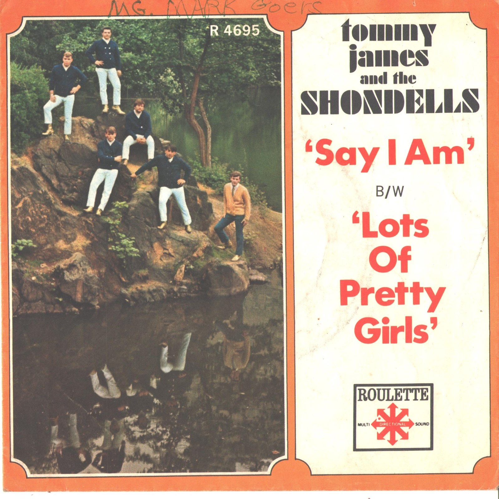 TOMMY JAMES/SHONDELS--PICTURE SLEEVE ONLY--(SAY I AM)--PS--PIC--SLV | eBay