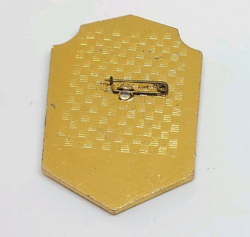 Russian 76th GUARDS AIRBORNE DIVISION Breast Parachute VDV Spetsnaz ...