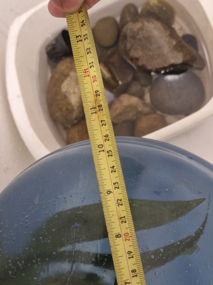 Fish Tank Empty Water Drink Dispencer Aquarium Fish Bowl | eBay UK