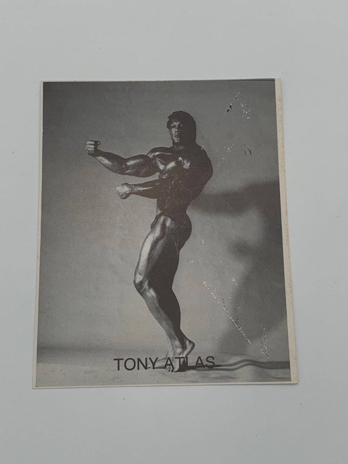 1980s NWA Wrestling Premium Issue Card Tony Atlas Mr USA | eBay