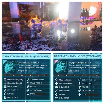 ARK ASCENDED PVE OFFICIAL PAIR BABY PYROMANE FULL BLACK TOP STATUS PC ...