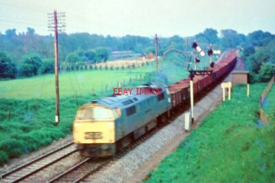 PHOTO CLASS 52 WESTERN CAMPAIGNER D1010 AT HUNGERFORD | eBay UK