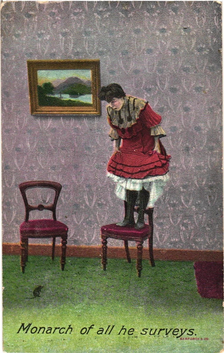 Woman Scared Of Mouse