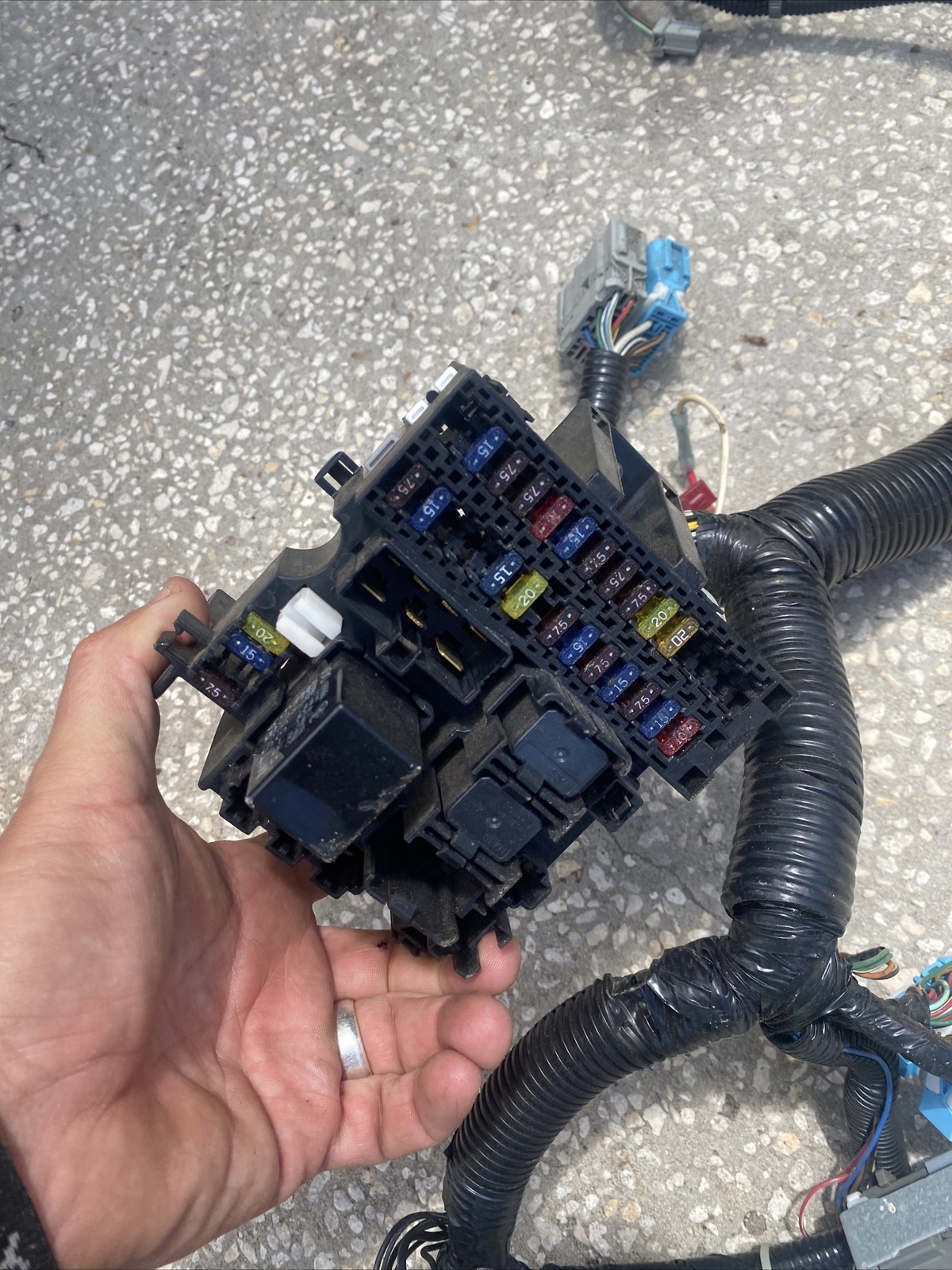 2000 03 HONDA S2000 AP1 F20C 2.OL OEM UNDER DASH HARNESS *32150-S2A ...