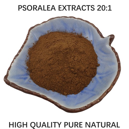 500g Pure Psoralea Extract 20:1 Powder | eBay