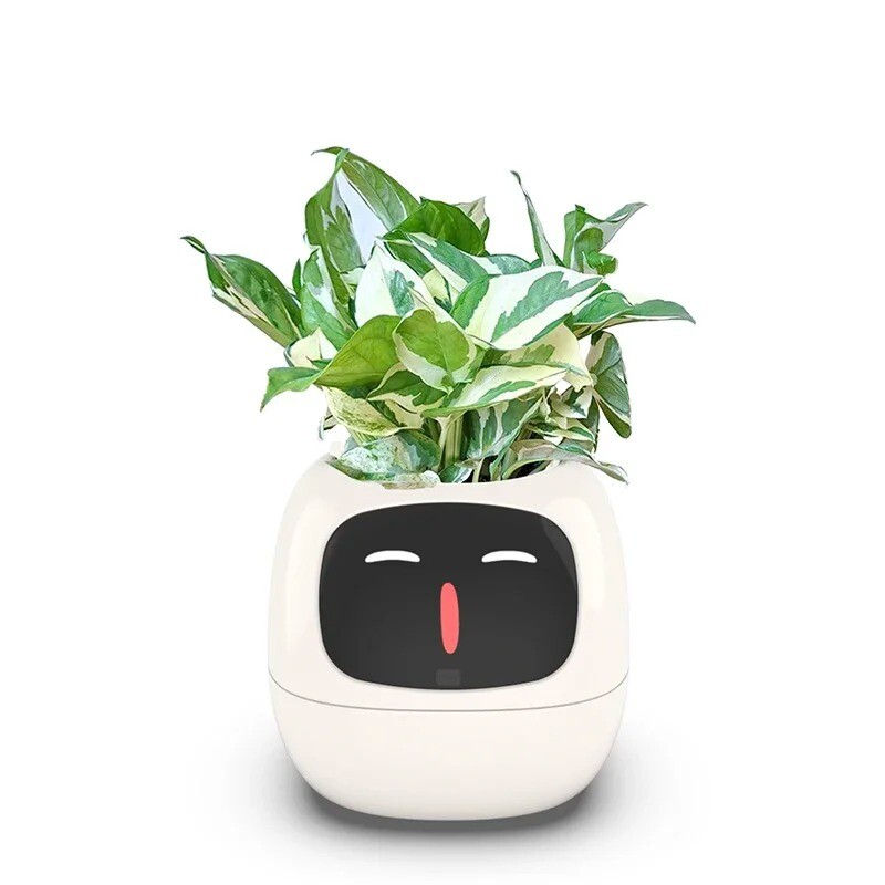 Home Garden Planter Creative Interactive Mini Smart Garden Indoor Smart ...