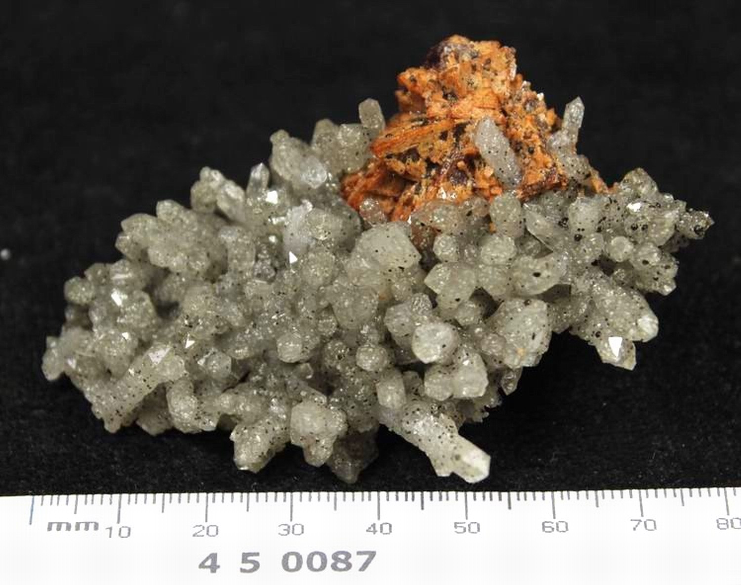 82mm Sharp Helvite & black Goethite on skeletal Quartz China CM450087 ...