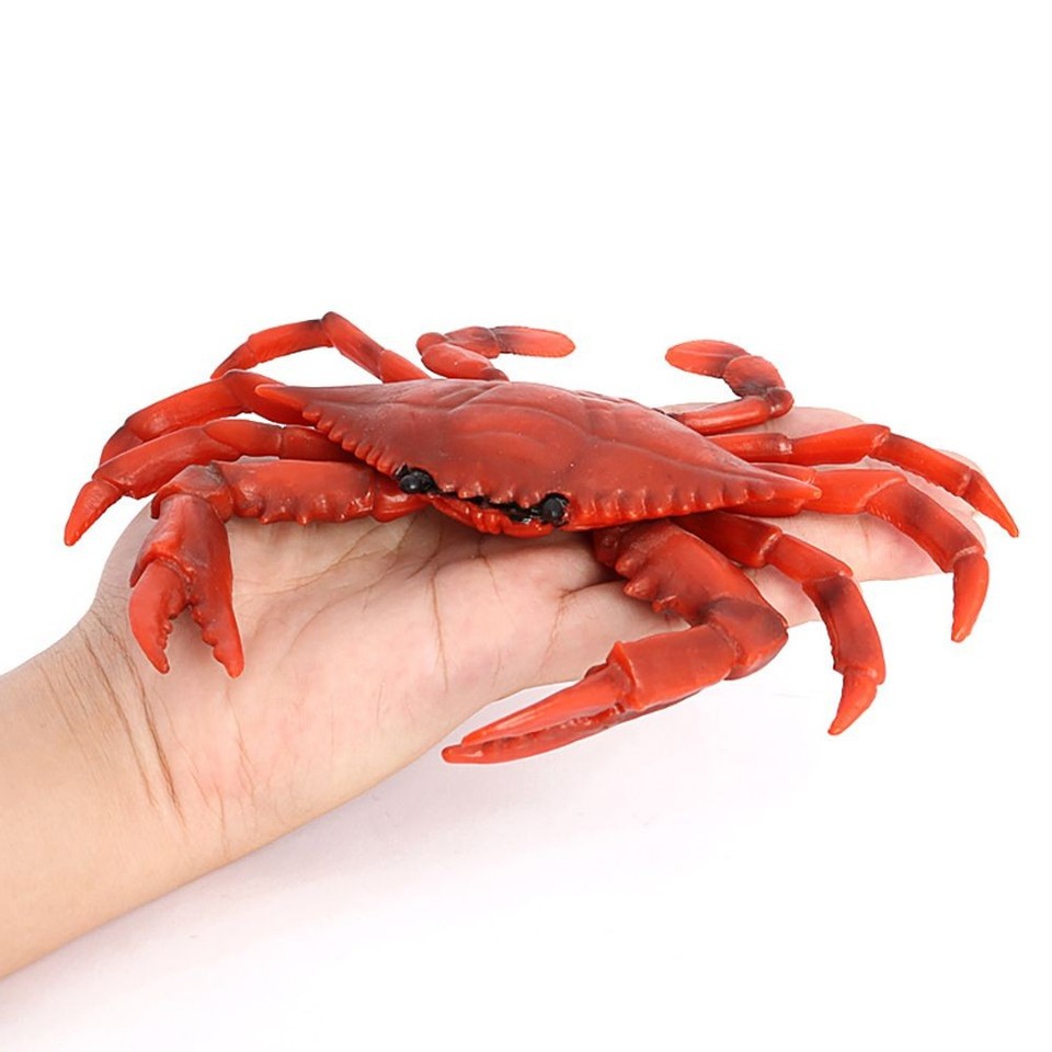 Toy Kids Cognition Sea Animal Figurine Red Crab Model Simulation Crabs ...