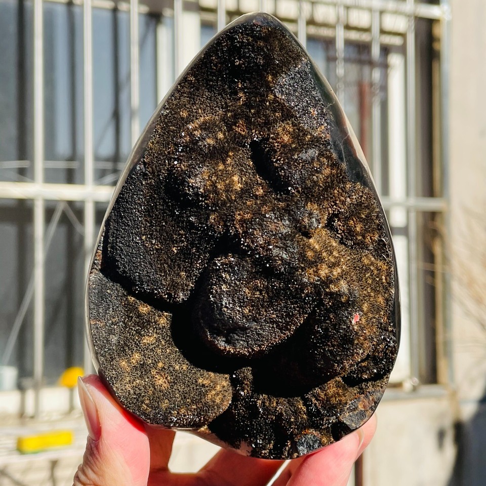 1174g Large Natural Dragon Septarian Septarium Crystal Egg Geodes ...