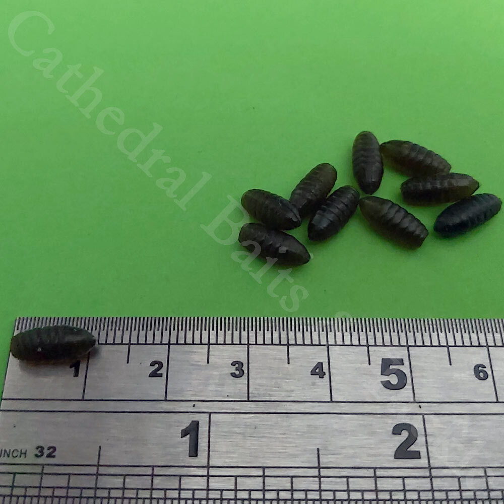Carp Coarse Match Fishing Floating Casters Artificial Imitation Bait ...