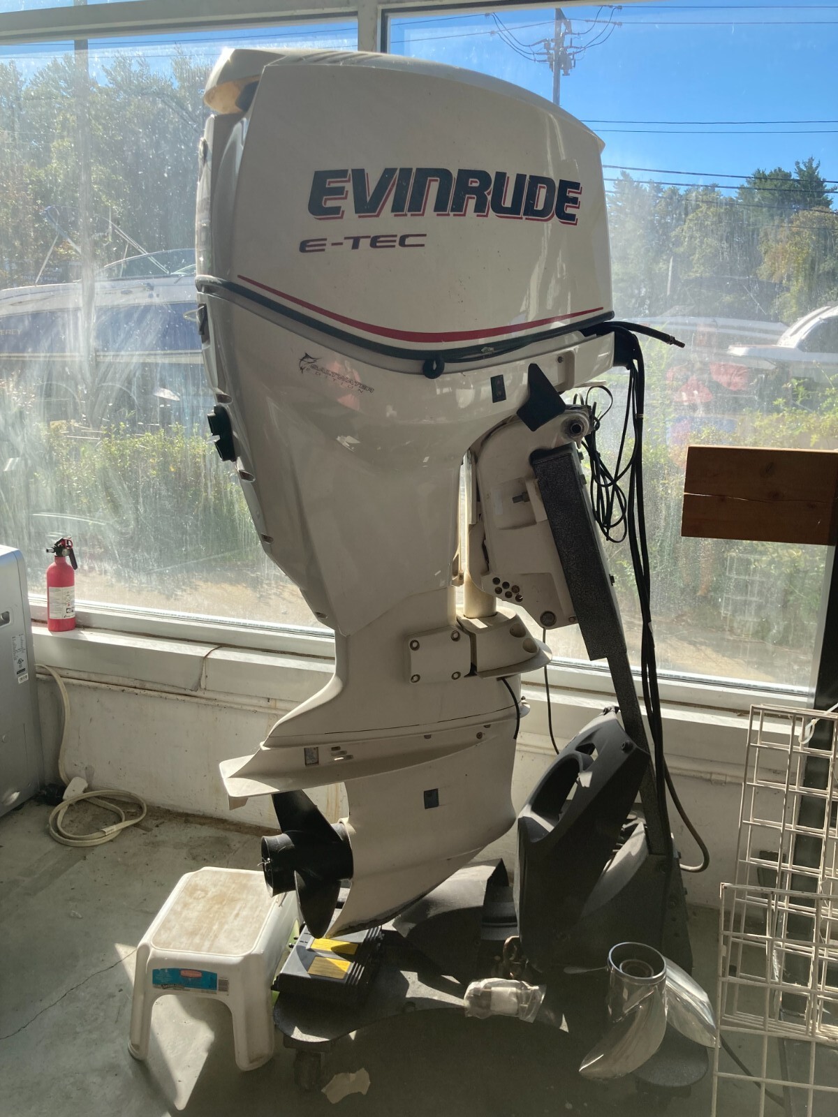Evinrude Etec