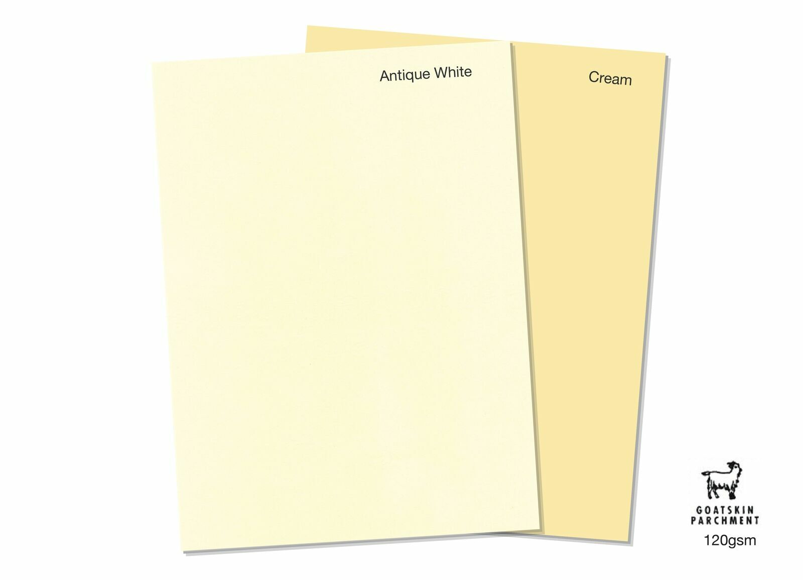 A4 Goatskin Certificate paper 120/160gsm AcidFree-Archival Guaranteed ...