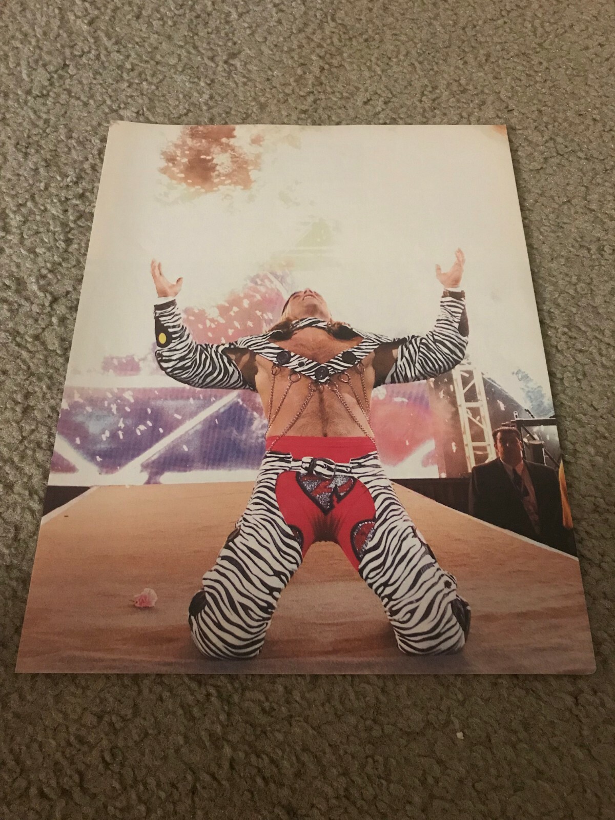 Vintage WWF SHAWN MICHAELS Wrestling Pinup Photo 2004 WWE DX HBK ...