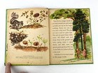 This Magic World Cynthia Koehler Wonder Books Vintage Childrens Book ...