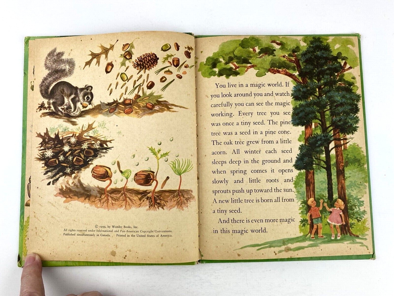 This Magic World Cynthia Koehler Wonder Books Vintage Childrens Book ...