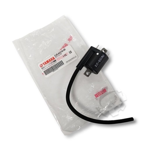 Genuine 2JS-H2310-00-00 Ignition Coil Assy for Yamaha Zuma 125 2016 ...