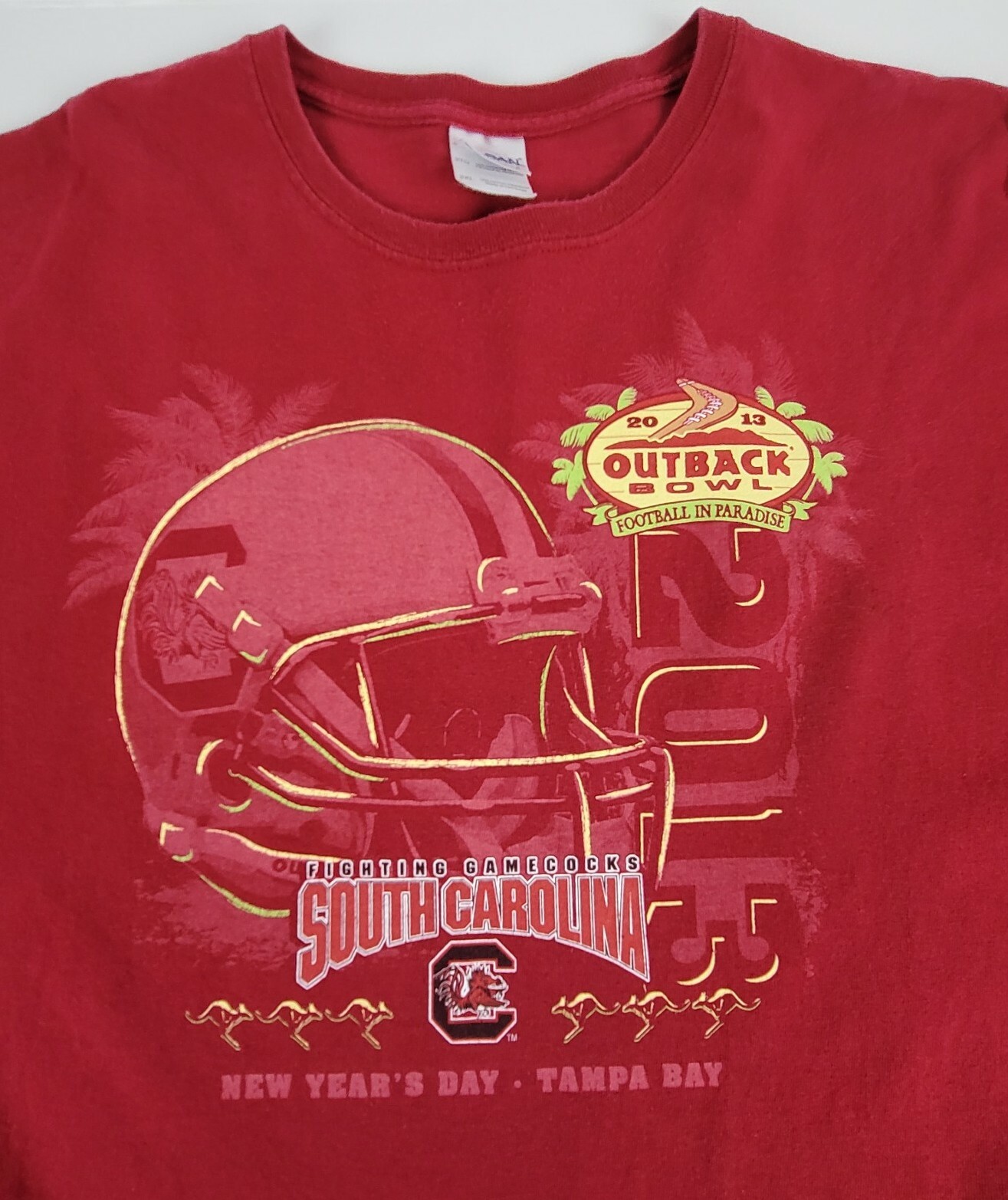 2013 South Carolina Fighting Gamecocks Football Outba… - Gem