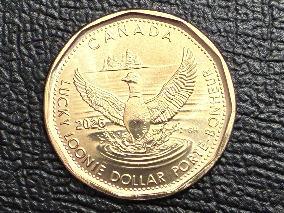2026 Canada 1 dollar Lucky Loonie UNC | eBay