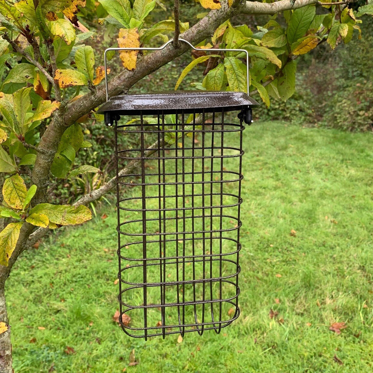 Complete Bird Feeding Stations Stand Feeder Tree Wild Garden Birds ...