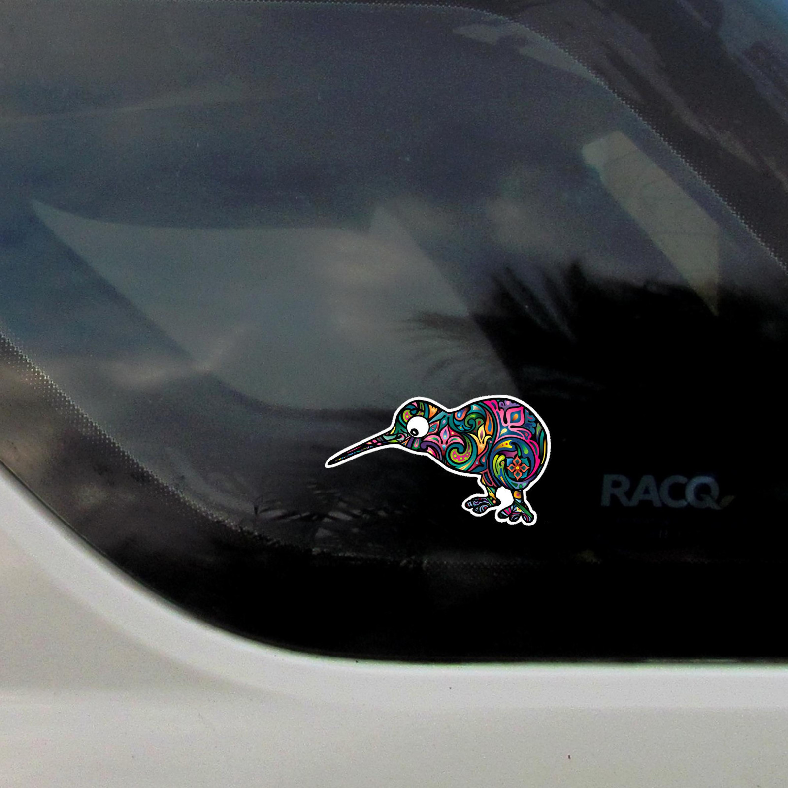 Kiwi bird New Zealand colourful bumper sticker 130 x 83mm outdoor vinyl ...