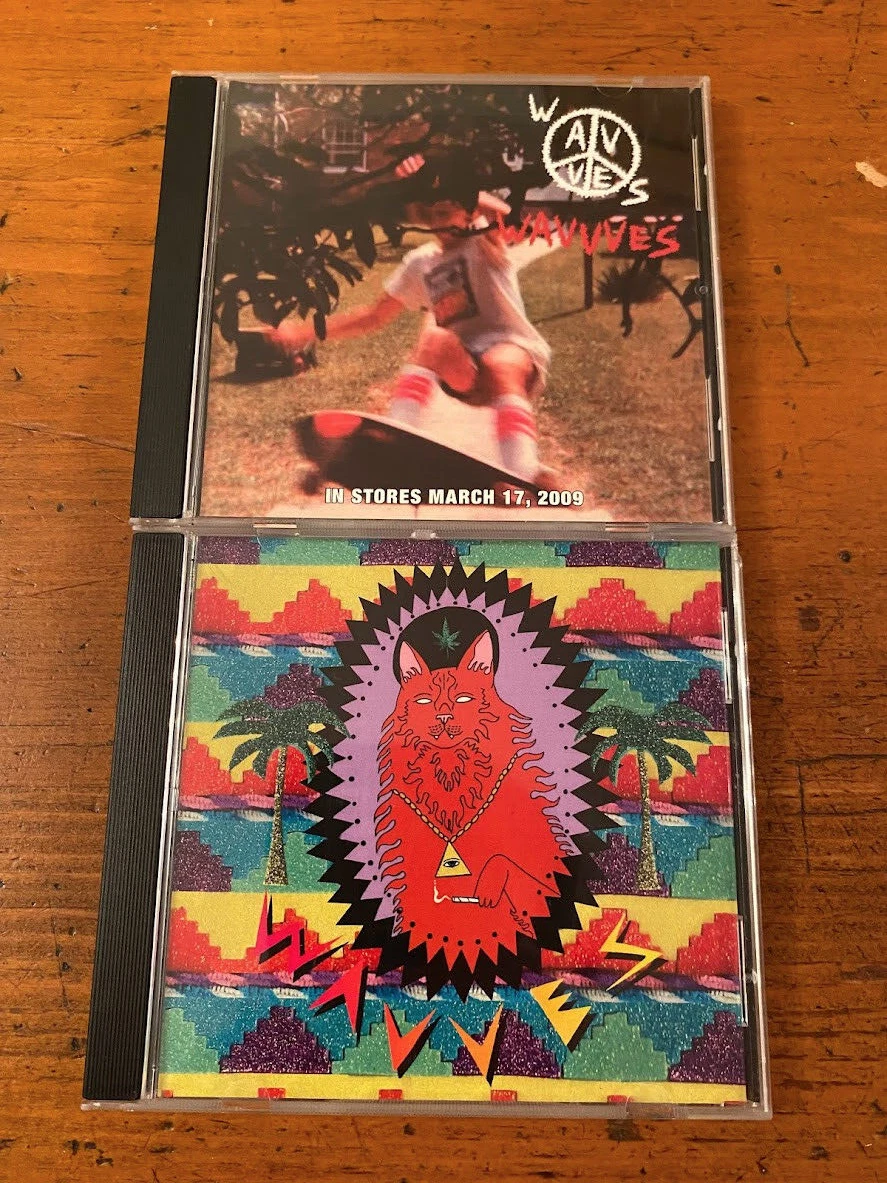 Wavves Album Art