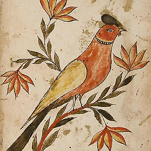 Posh Bird | eBay Stores