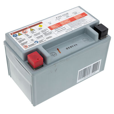 CUB CADET 725P17136 Battery AGM 7AHR CC 30 H Hydro Mini Rider | eBay