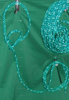 Cattle - Beef - Show Halters