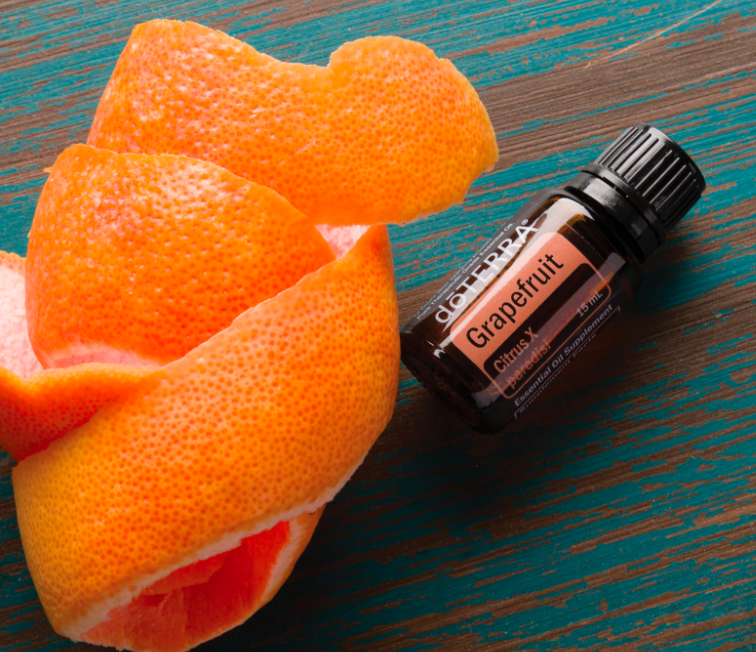 doTERRA Grapefruit 15ml Therapeutic Grade Pure Essential Oil ...