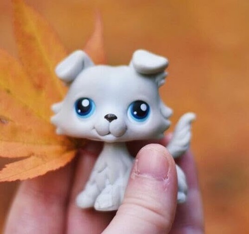 Mini Pet Shop LPS Toy Collie 363,lps Gray Body Blue Eyes Collie Dog ...