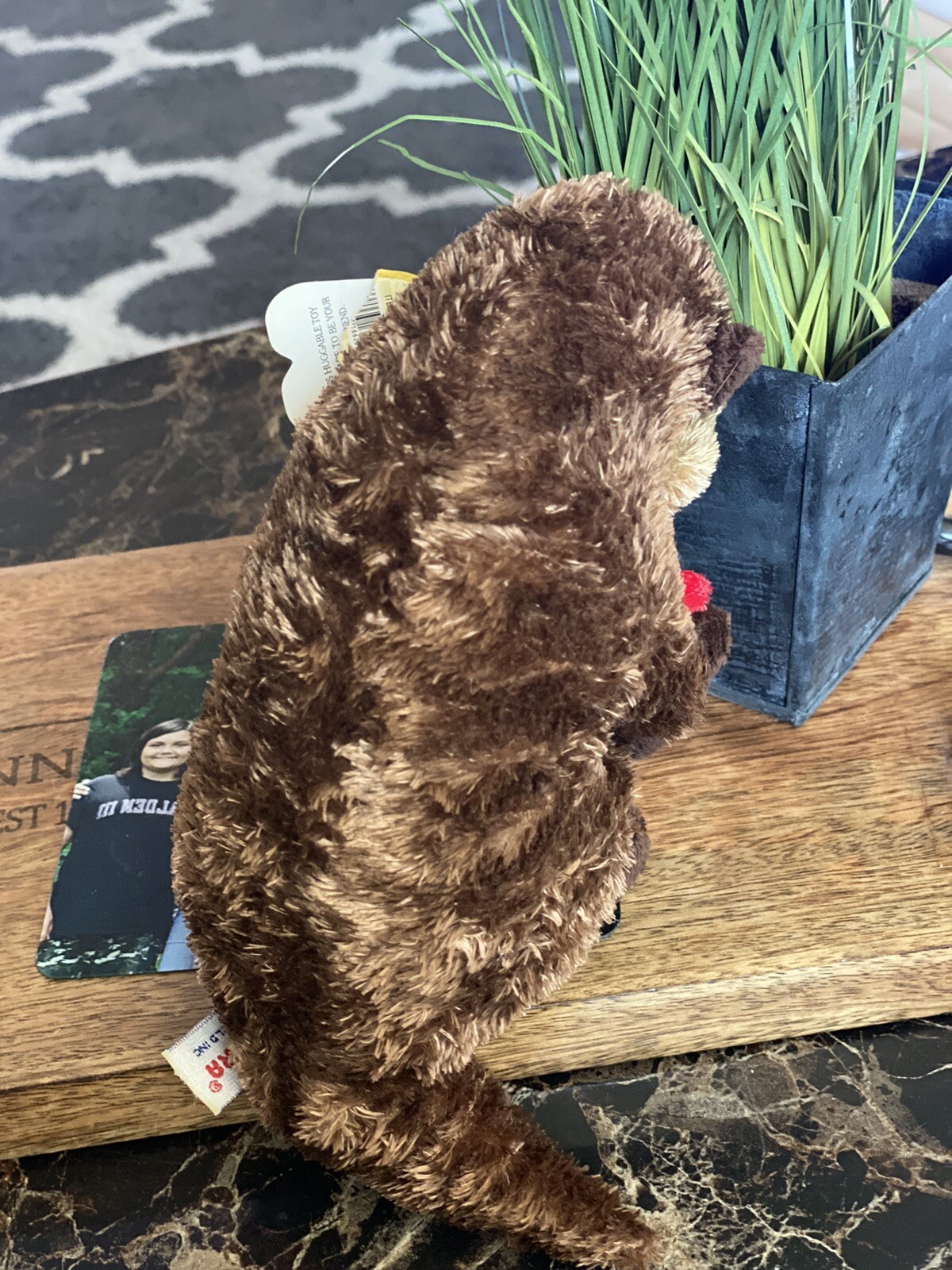 Aurora Plush Sea Otter Cali Red Starfish Stuffed Animal Bean Bag Lovey ...