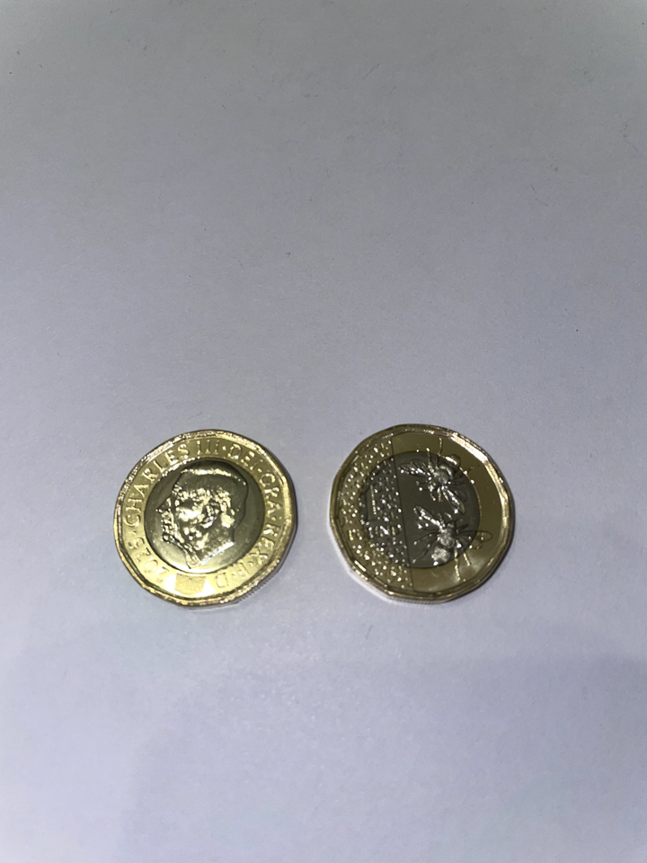 £1 Pound BEES Coin King Charles 2025 UNCIRCULATED from sealed bag LOW ...