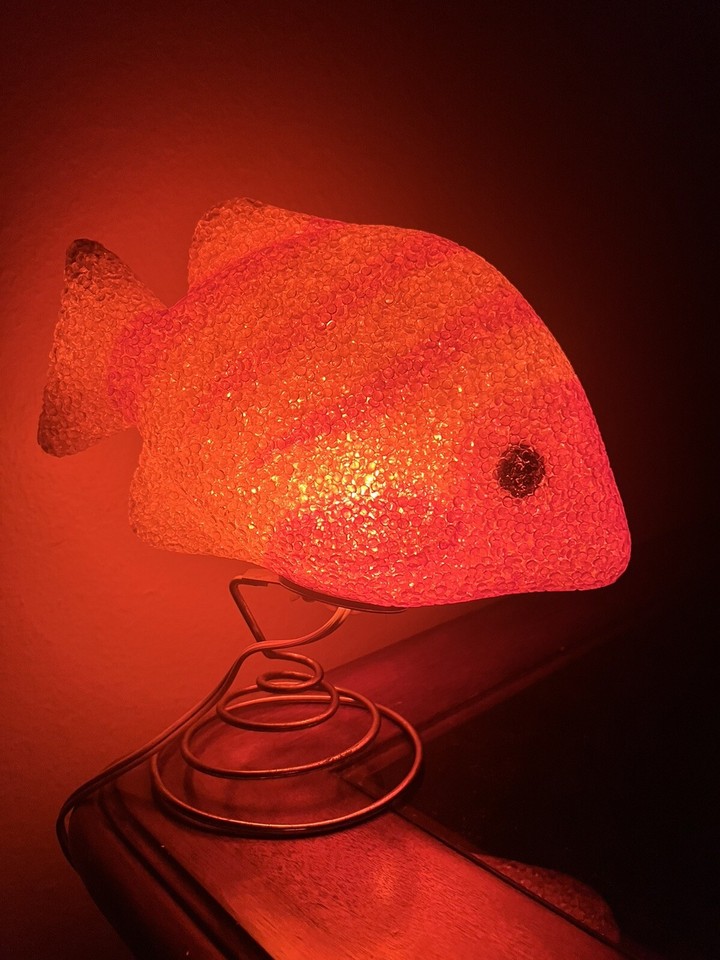 2000's Vintage Children's Silicon Tropical Motion Tabletop Fish Night ...