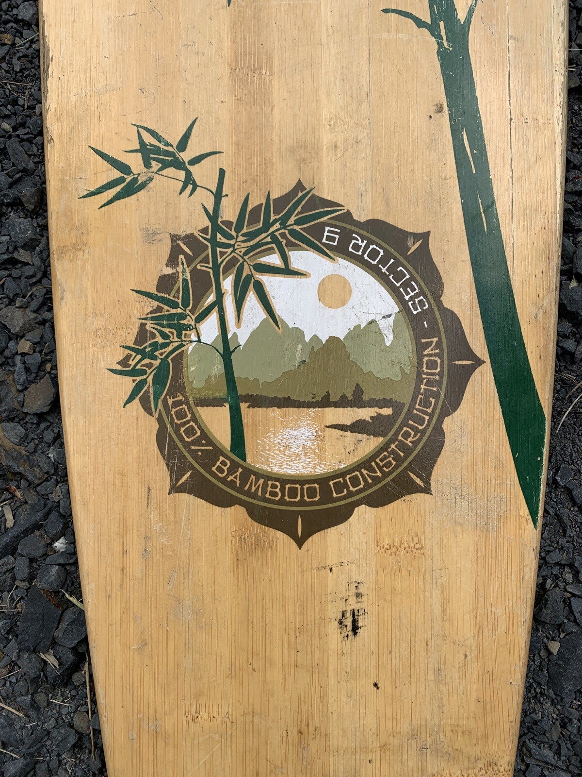 Vintage Pro Sector 9 Pintail 46" Fish Style Longboard 100% Bamboo | eBay