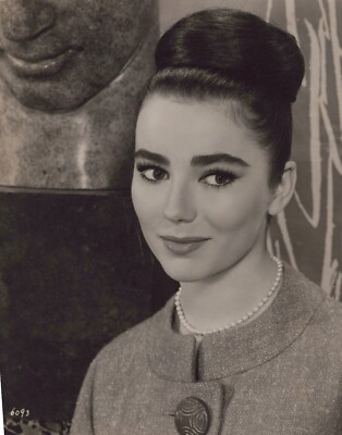 Brigid Bazlen (1960s) Vintage Hollywood Beauty Stunning Portrait Photo ...