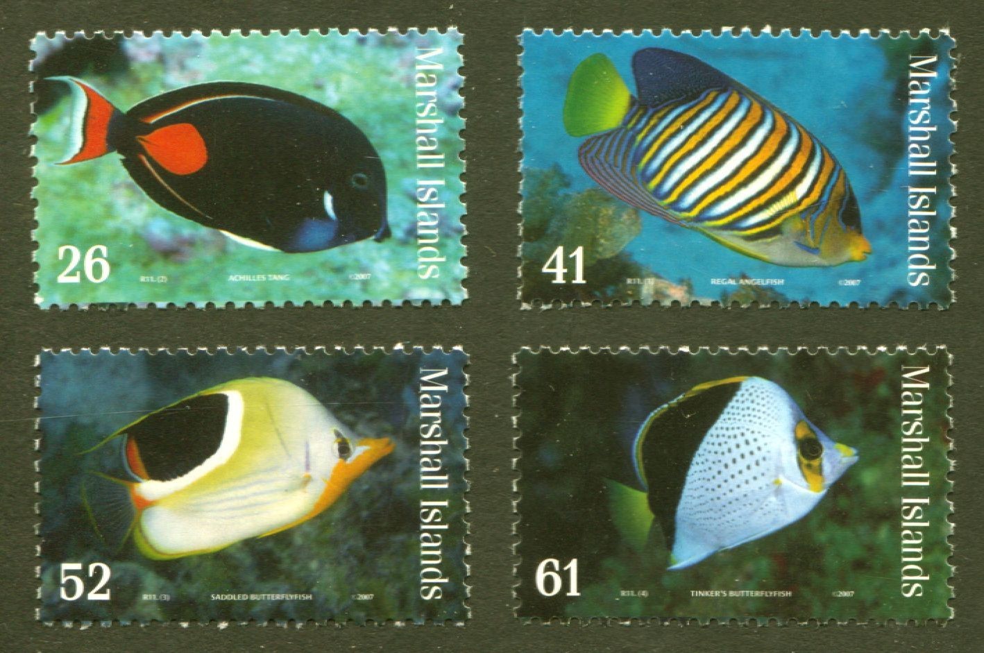 Marshall Islands Scott# 893-896, Fish - 2007 VF MNH Complete Set of 4 ...