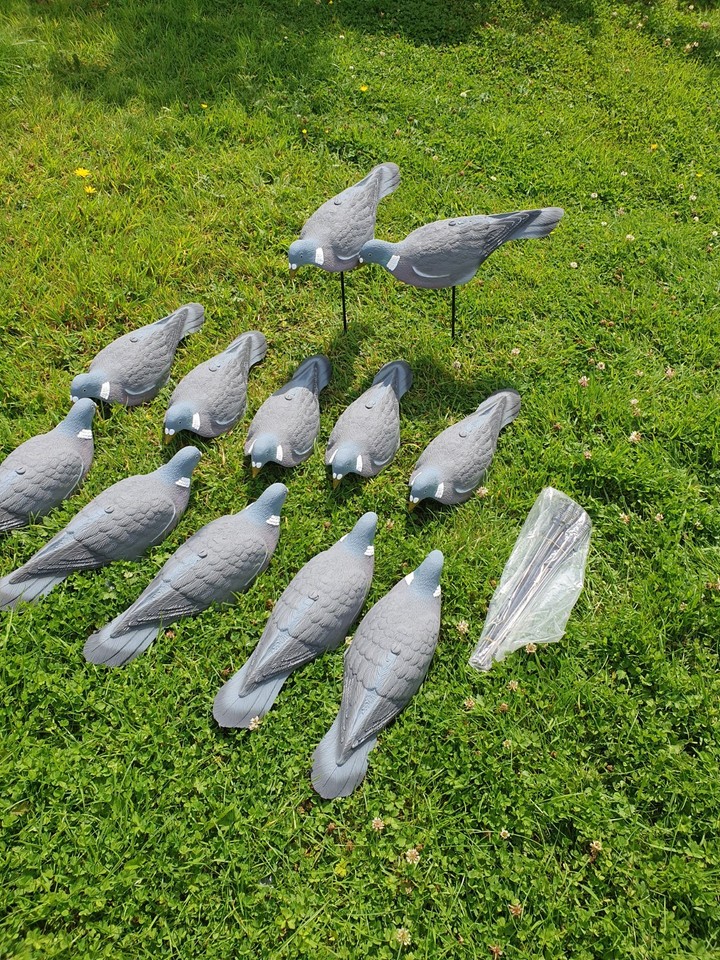 12 pigeon decoys hand painted on enforcer spring stick system see video ...