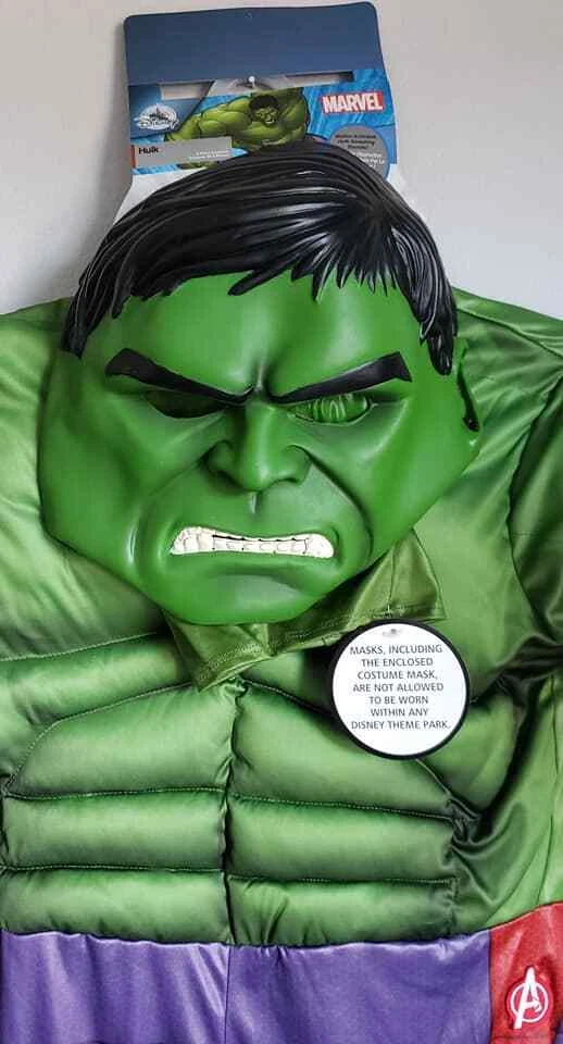 Homemade Hulk Costume