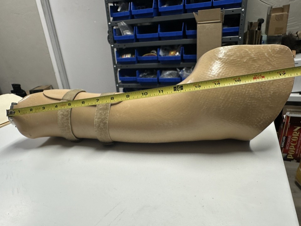 Prosthetic Leg Socket | eBay