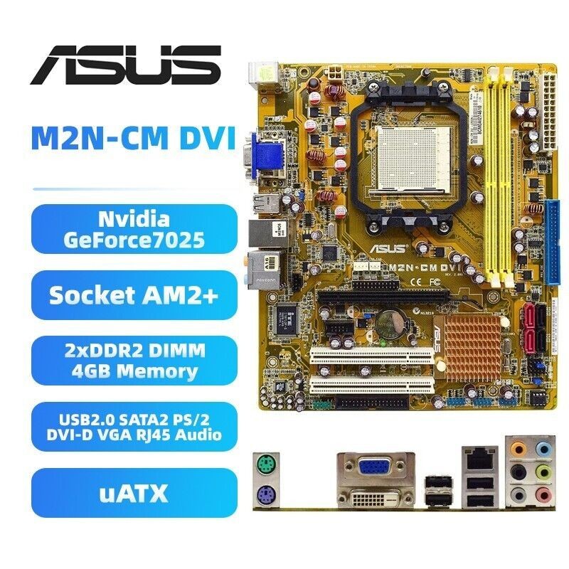 ASUS M2N-CM Nvidia Geforce 7025 AM2 + Scheda Madre DVI AMD Athlon Fx ...