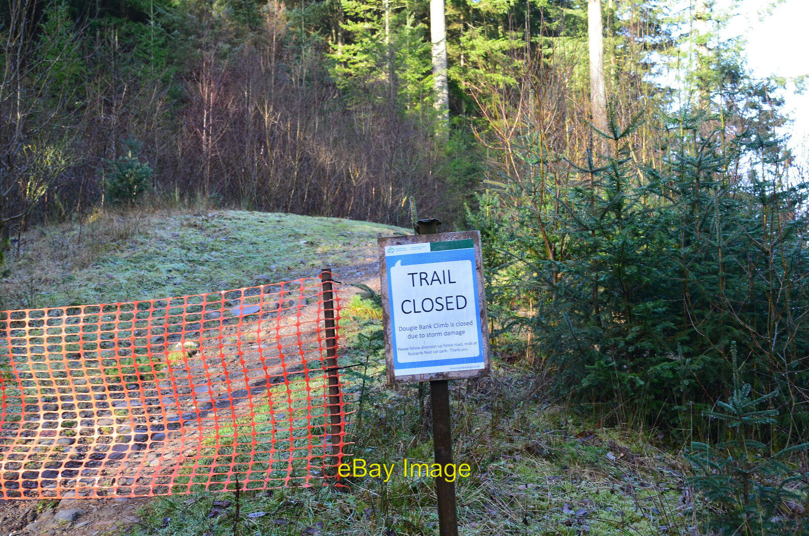 Photo 6x4 Trail Closed sign, Glentress Glentress/NT2839 'Dougie Ban ...