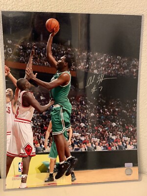 Al Jefferson Signed Boston Celtics 16x20 Photo GA | eBay