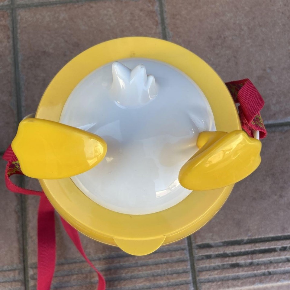 Donald Disney Character Popcorn Bucket, Disney Series, Used, Tokyo ...