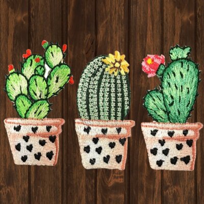 Cactus Embroidered Patch — 3-Pack — Iron On | eBay